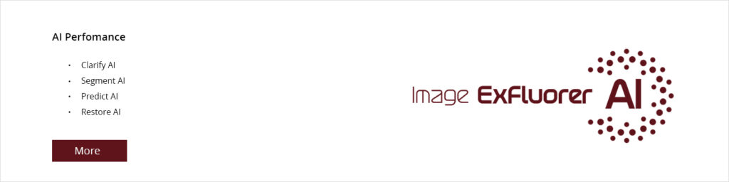 Live Cell Imaging Chamber & Incubator - Precision Tools for Research