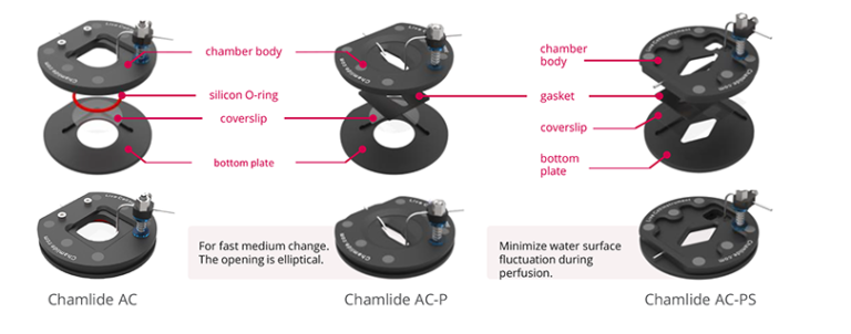 Magnetic Imaging Chamber - Advanced Tools for Cell Imaging